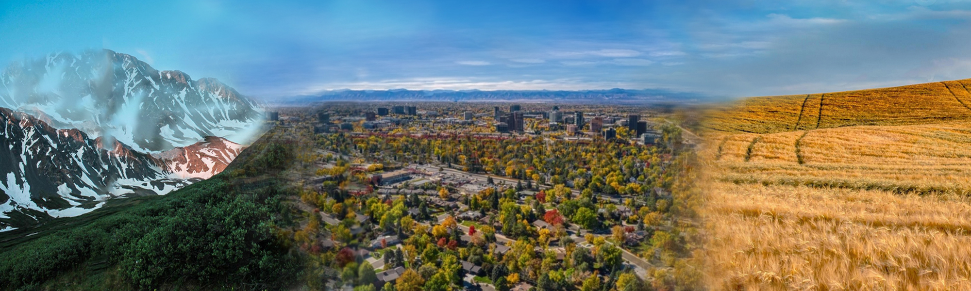 Updated UAD Redesign & Implementation Timeline - RMAA | Rocky Mountain ...